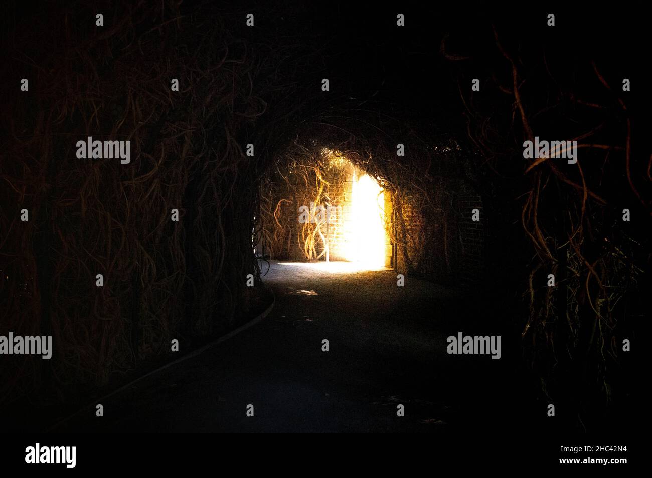 Inside of a dark cave Stock Photo - Alamy