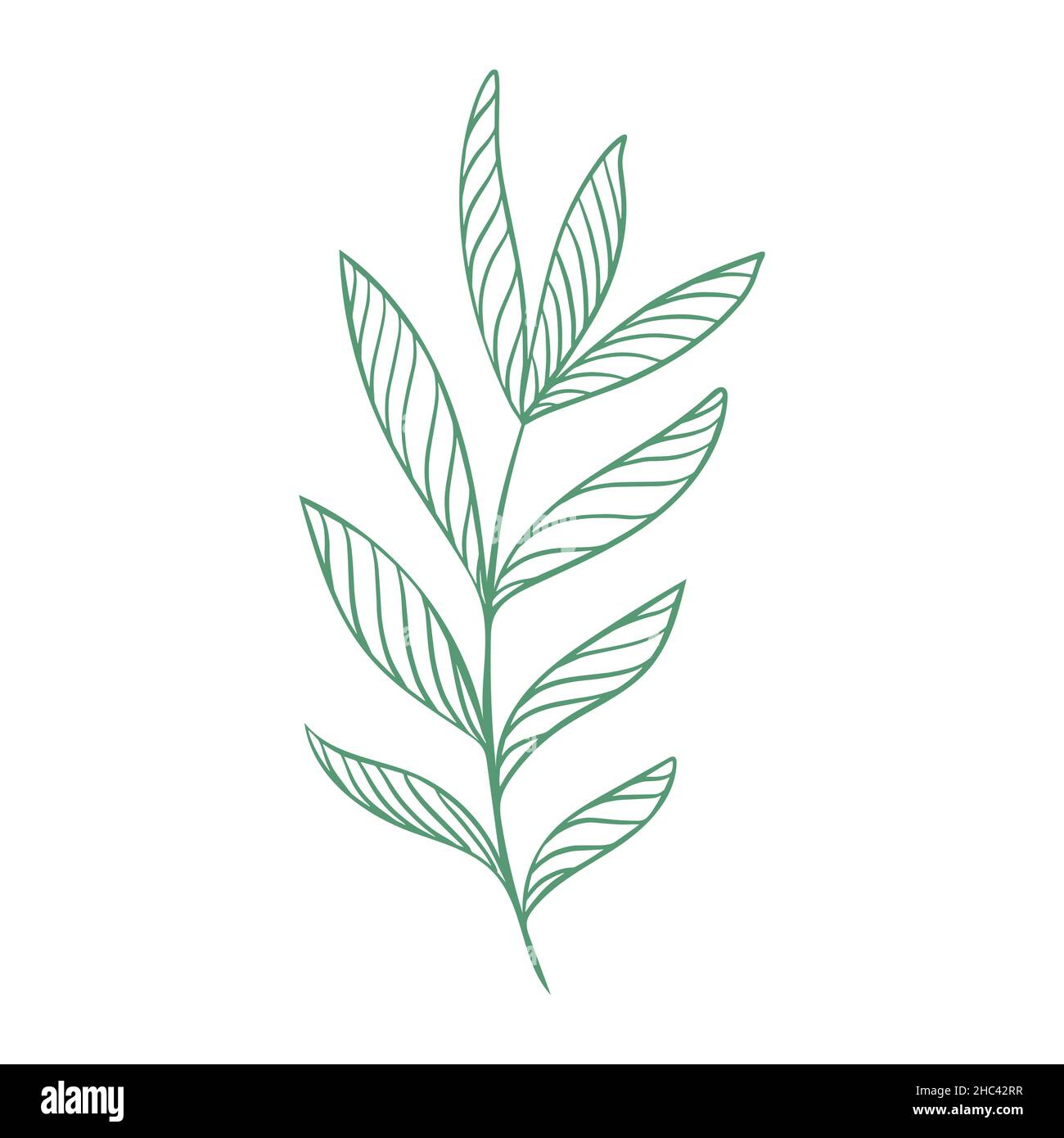 Striped leafy greenery branch isolated vector illustration Stock Vector ...