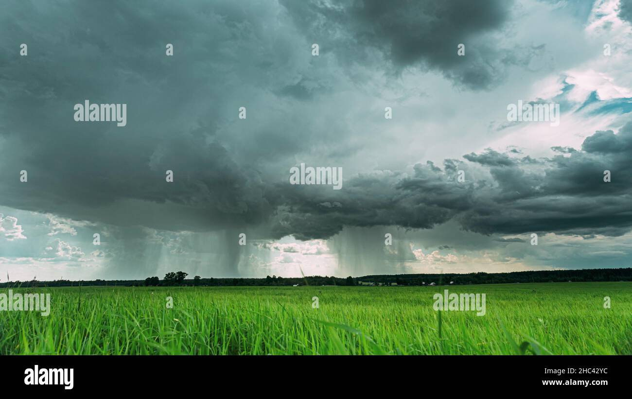 4K Rain Rainy Clouds Above Countryside Rural Field Landscape With Young ...