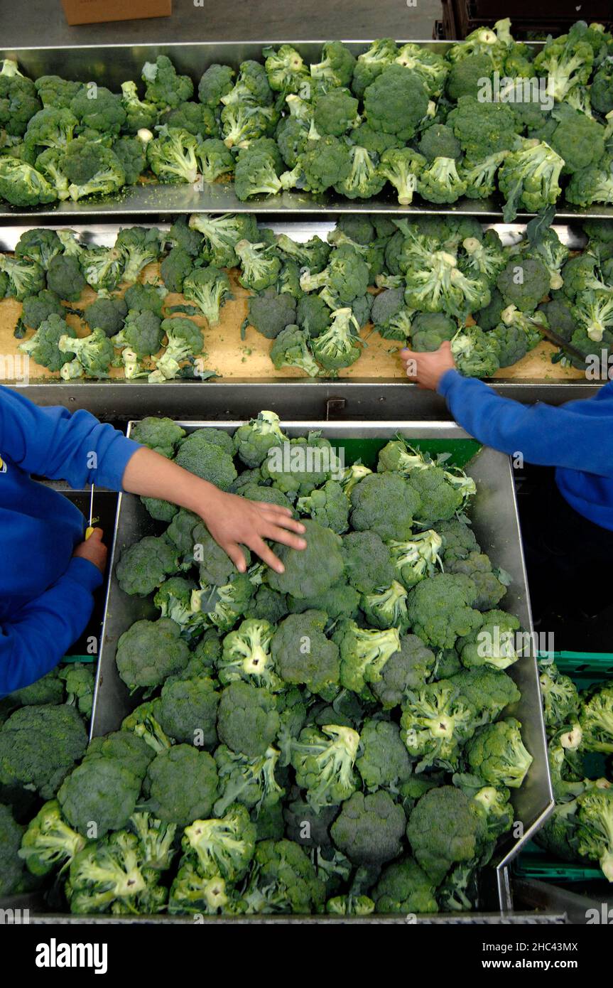 Retailer yorkshire hi-res stock photography and images - Alamy