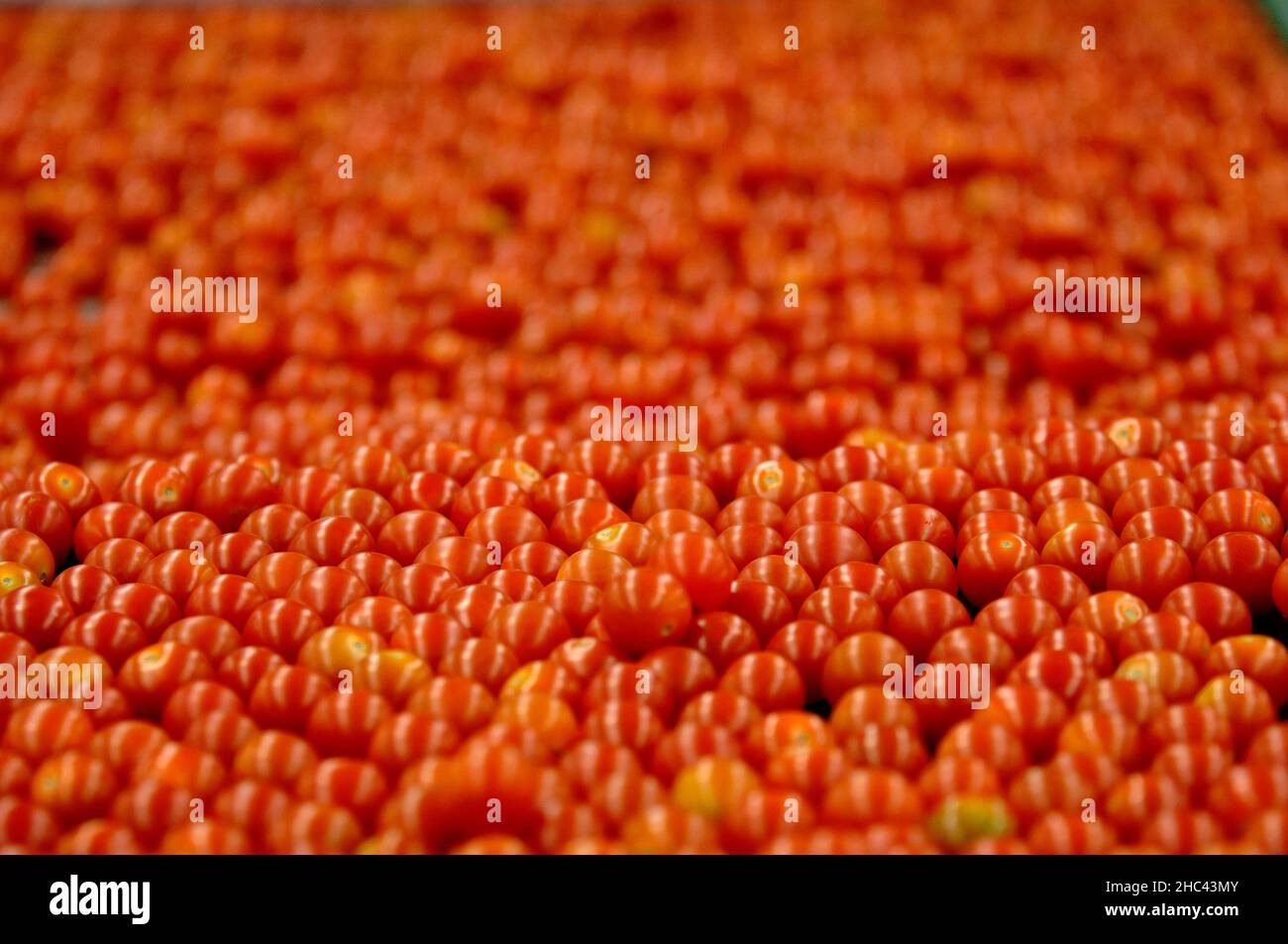 Morrisons Supermarket In Bradford High Resolution Stock Photography and ...