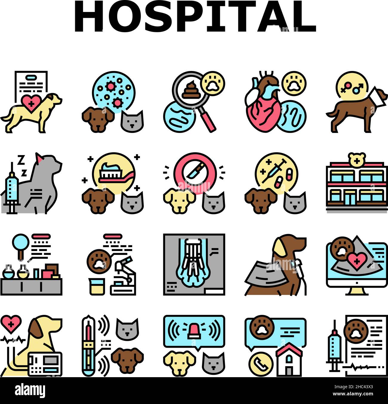 Hospital Pet Health Examination Icons Set Vector Stock Vector Image ...