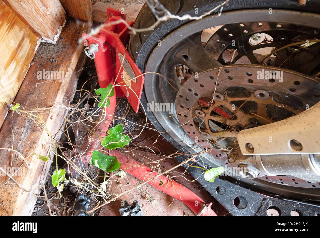 Old and dirty motorcycle in a shed, overgrown, selective focus Stock ...