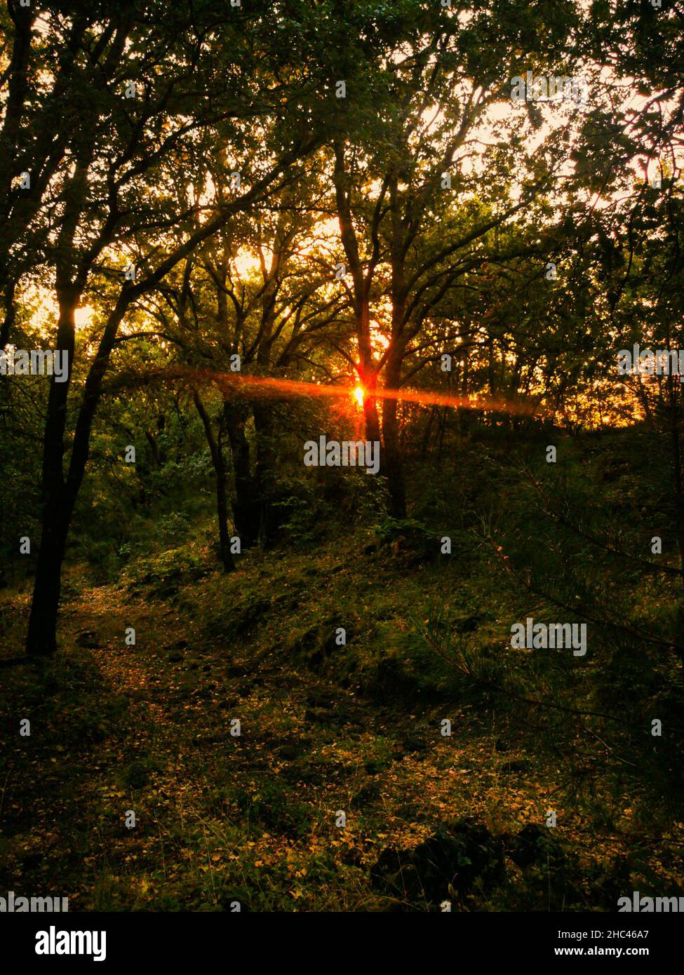 Beautiful shot field sunset hi-res stock photography and images - Alamy