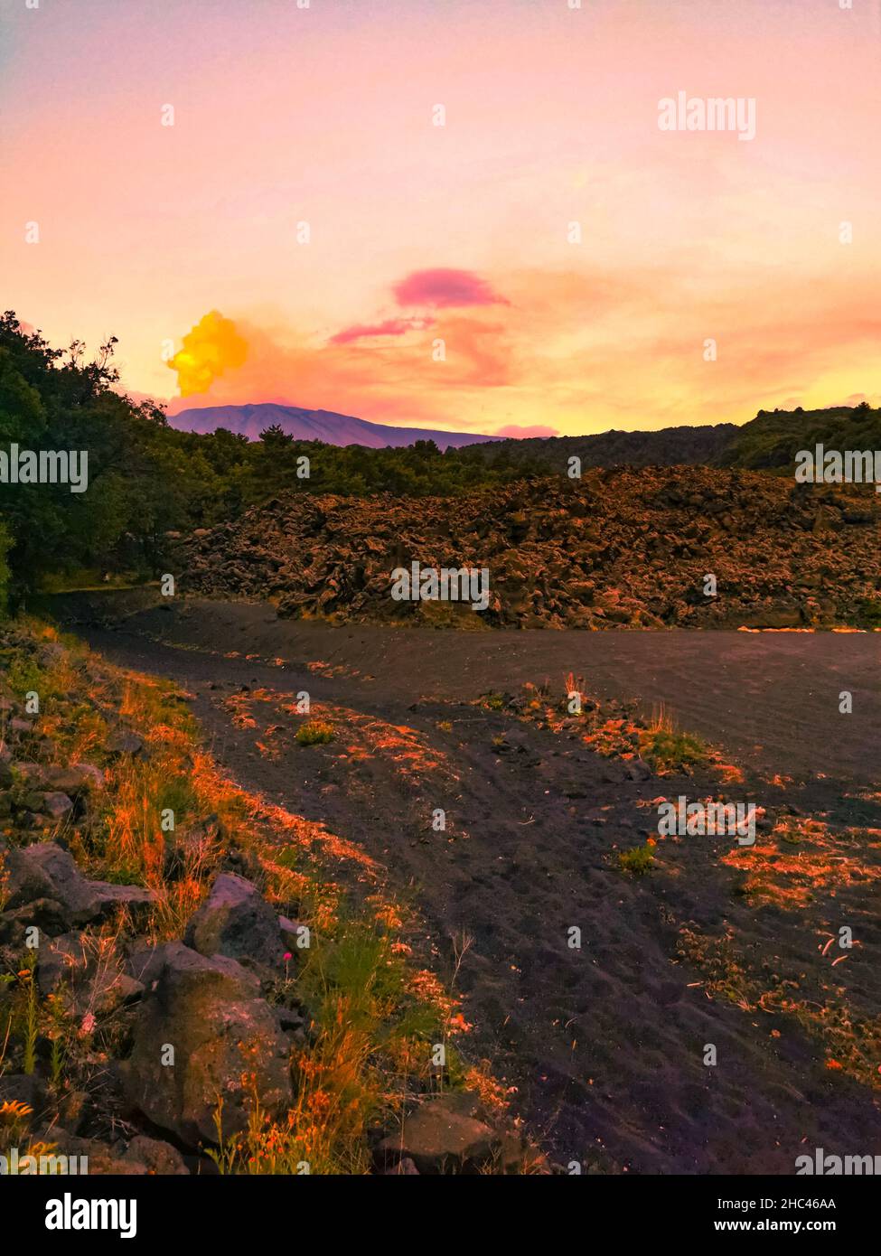 Beautiful shot field sunset hi-res stock photography and images - Alamy