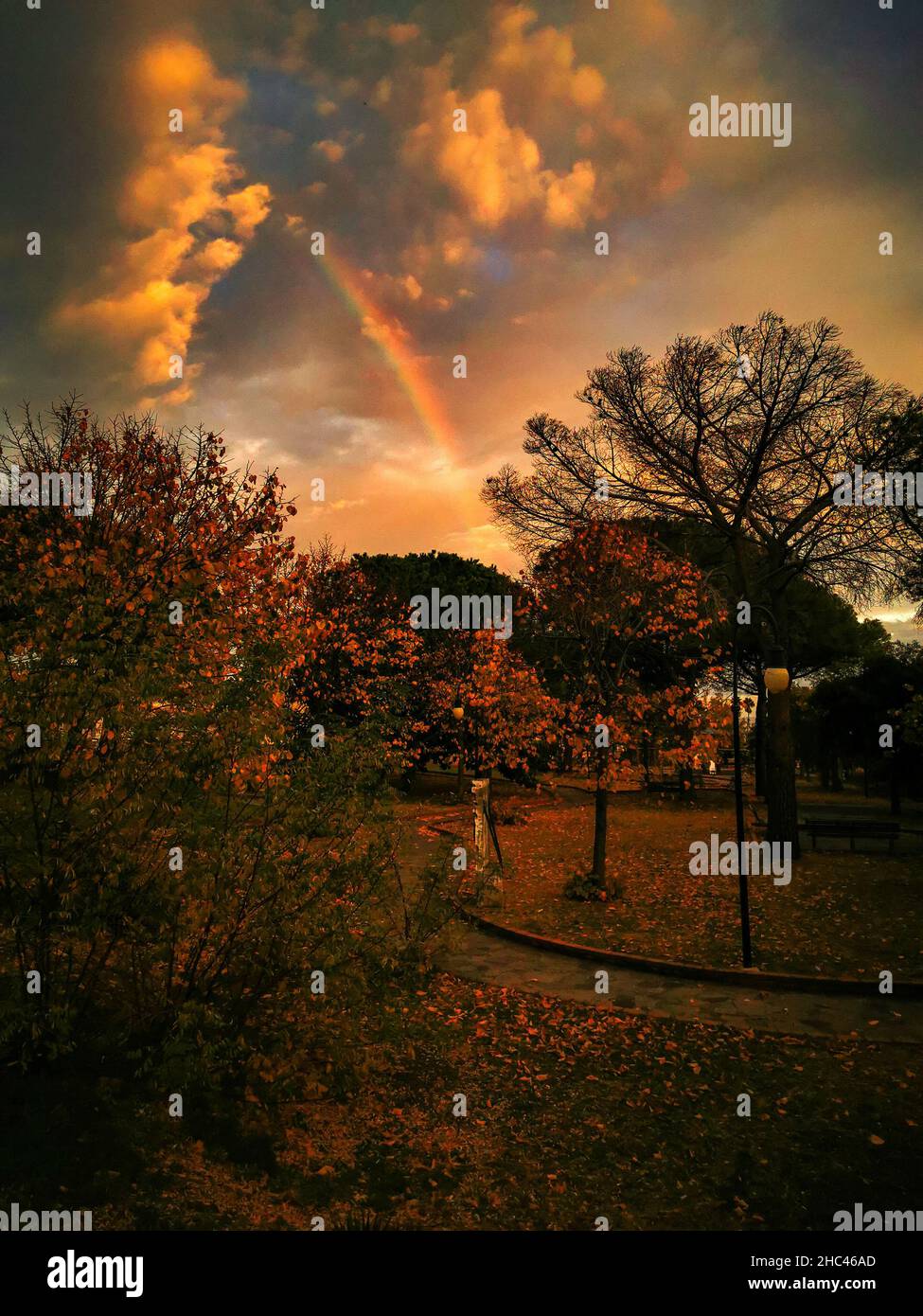 Beautiful shot field sunset hi-res stock photography and images - Alamy