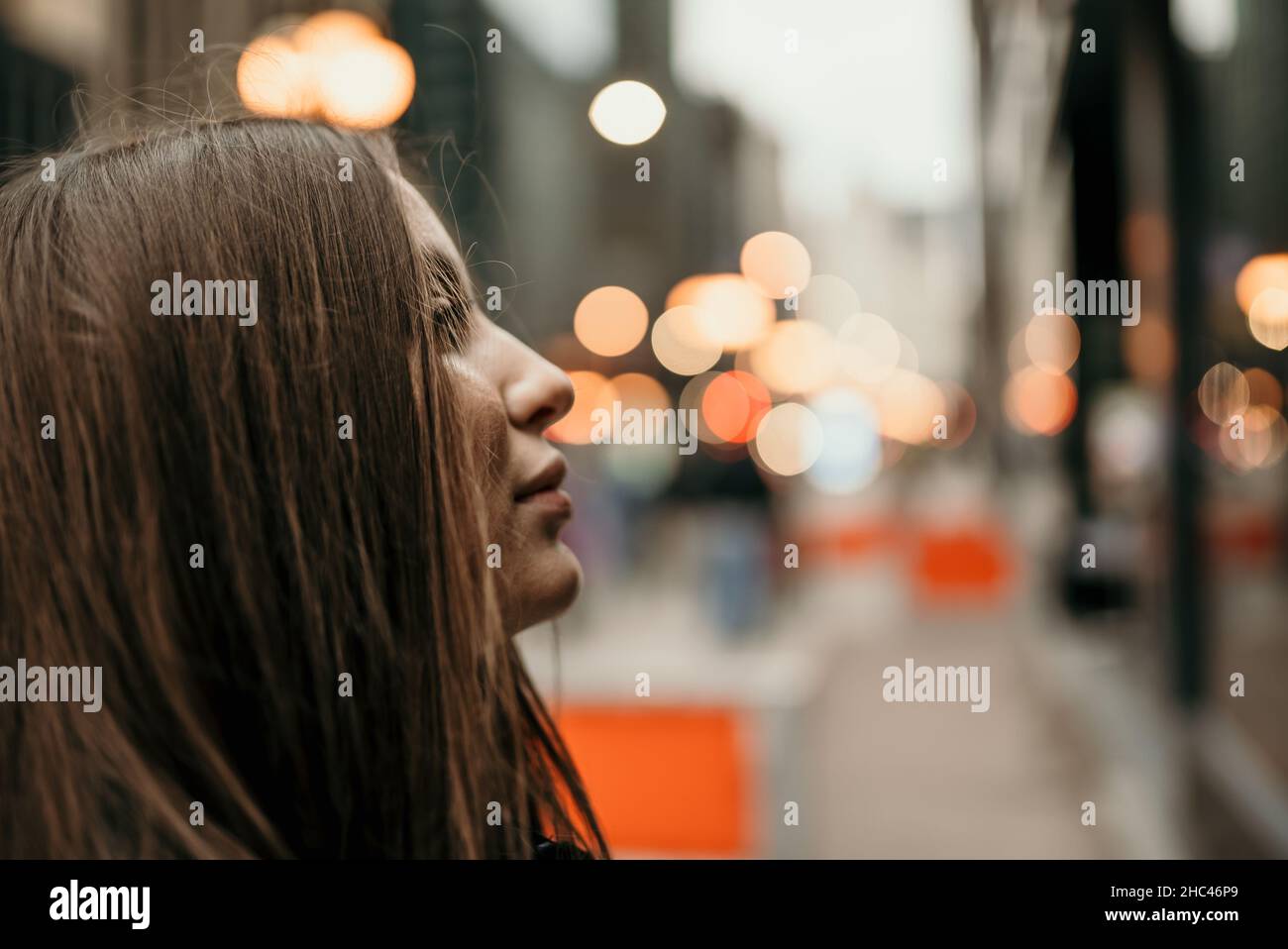 Downtown chicago portrait hi-res stock photography and images - Alamy