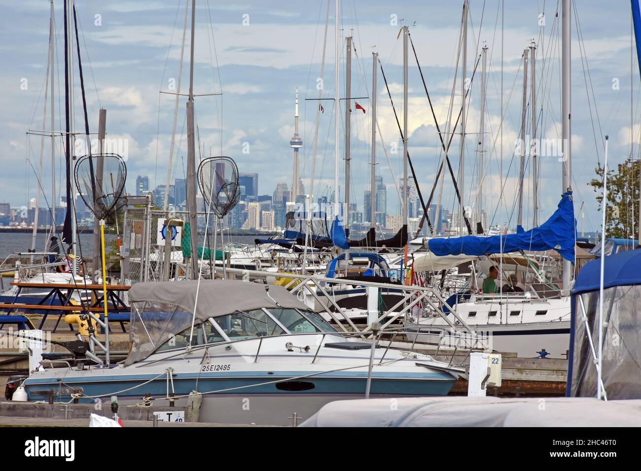 Toronto islands - Marina full of boats, Canada Stock Photo - Alamy