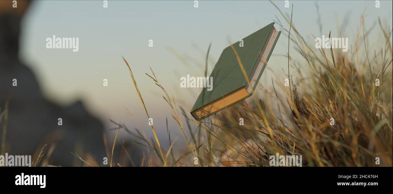 Flying through field hi-res stock photography and images - Alamy