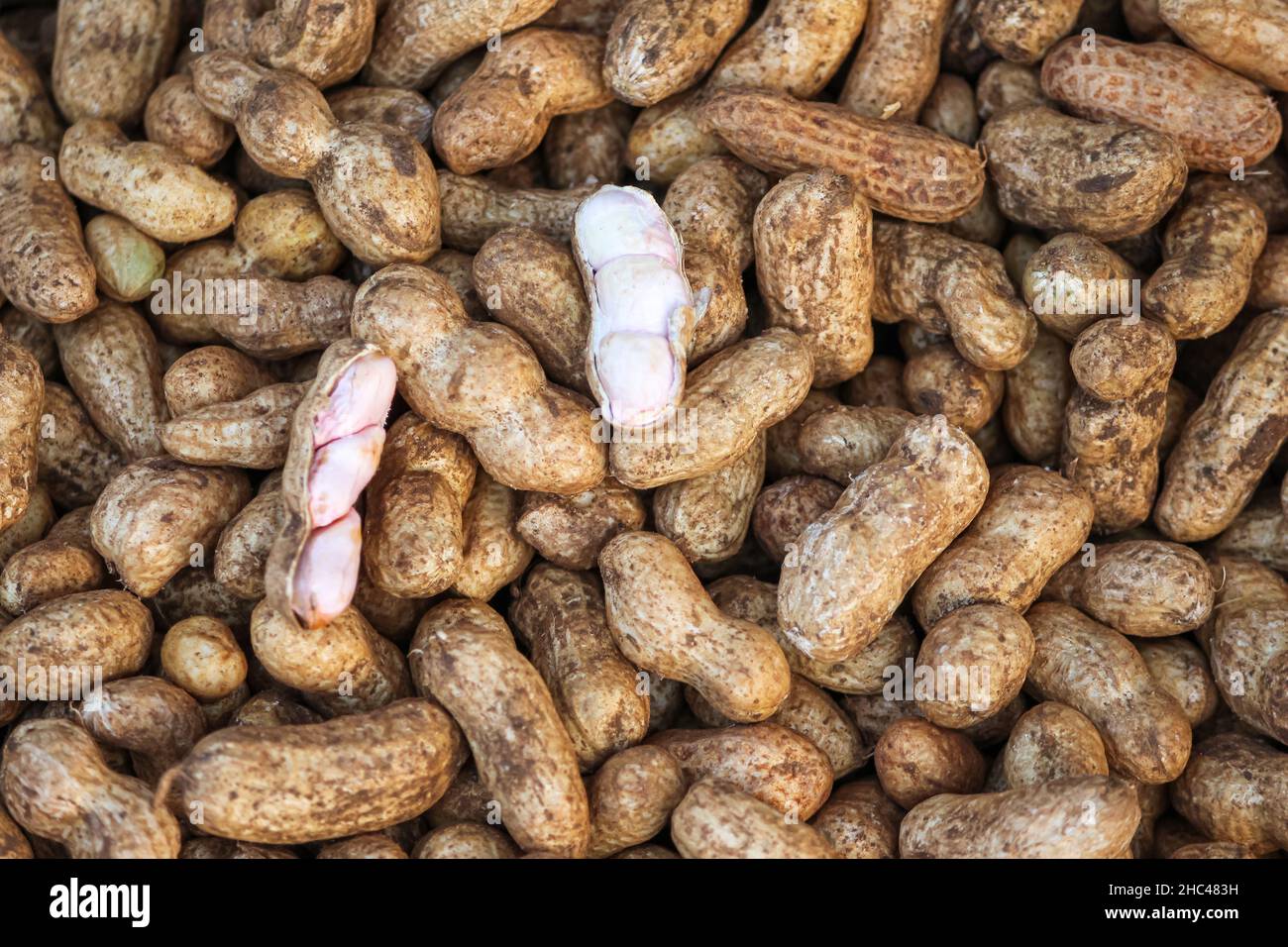 Peanut ground nut groundnut hi-res stock photography and images - Alamy