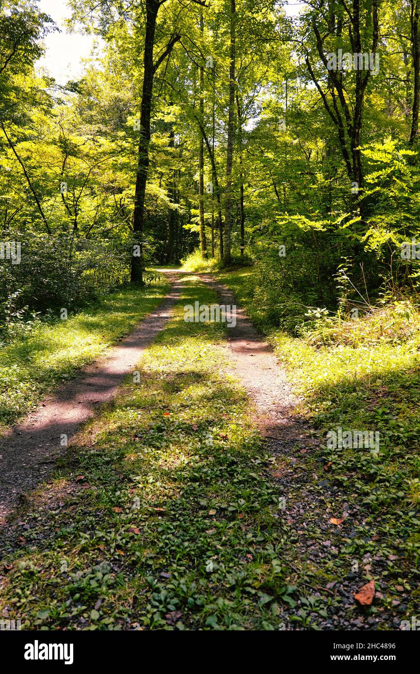 Vertical shot driving trail hi-res stock photography and images - Alamy