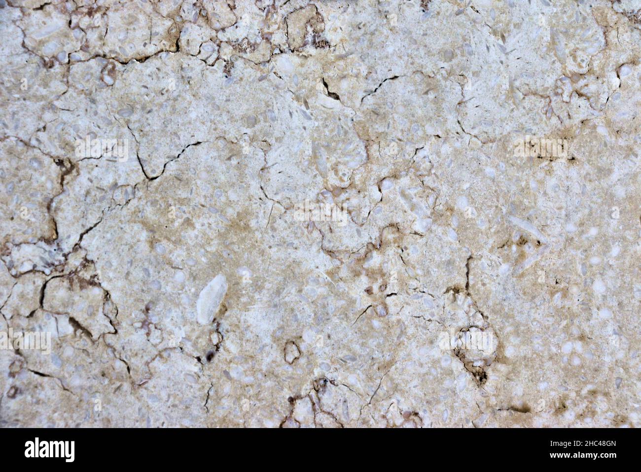 Marble tiles from natural stone, texture wall and floor cladding ...