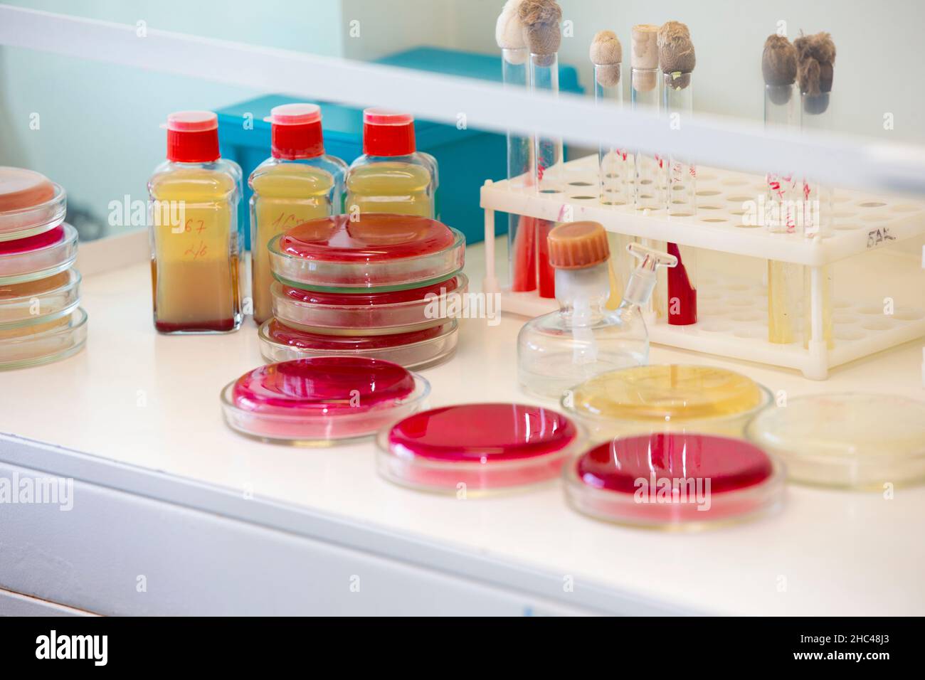 Bacterial identification hi-res stock photography and images - Alamy