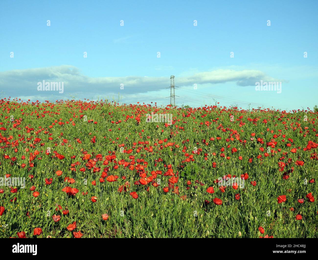 High end tower hi-res stock photography and images - Alamy