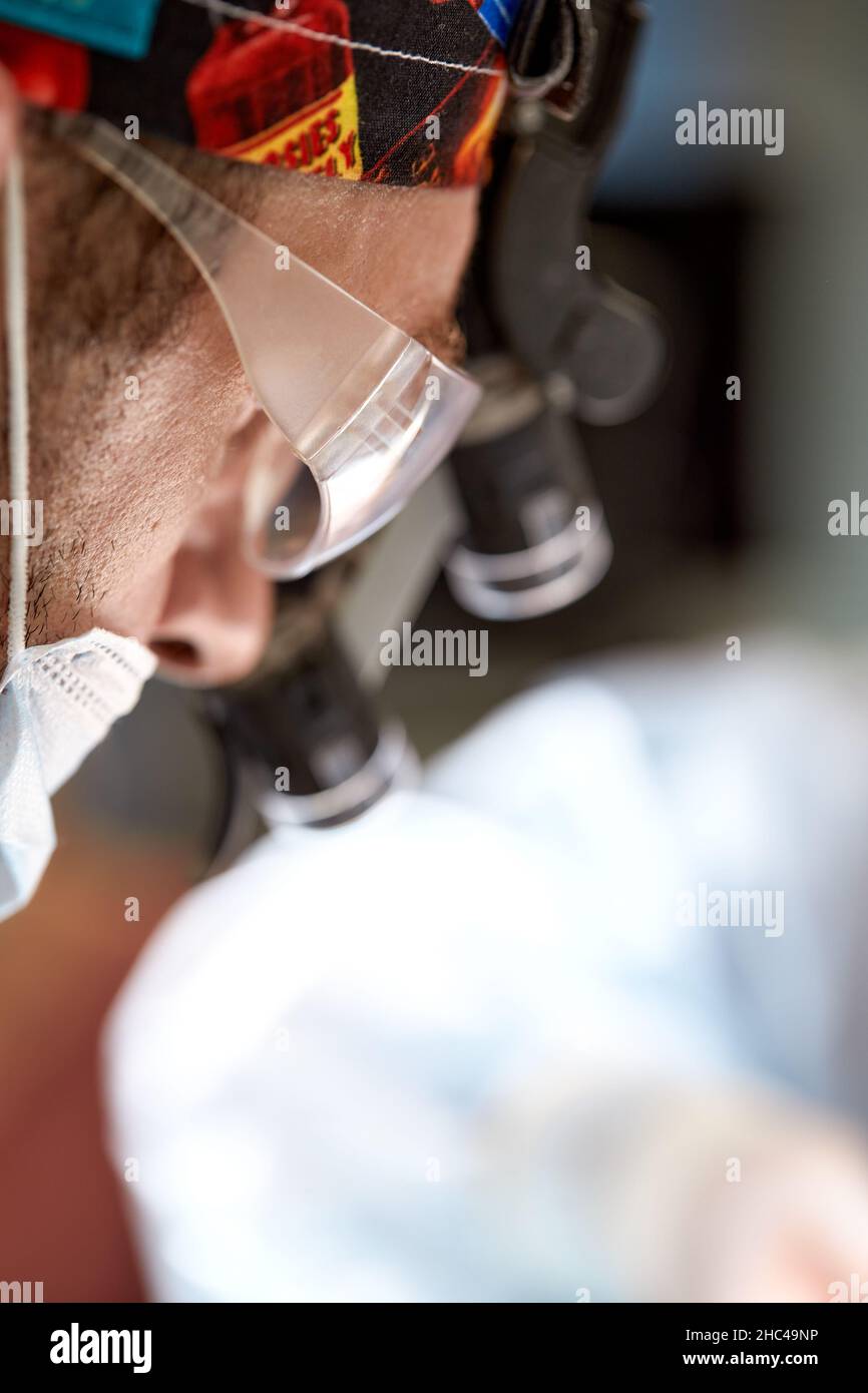 Close-up Shot of the Professional Surgeon Suture Wound during Real ...