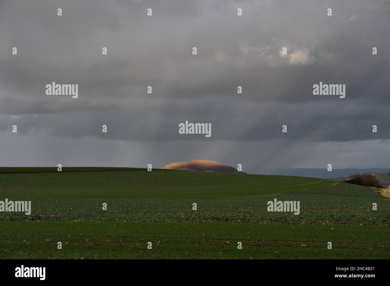 Sun rays field background hi-res stock photography and images - Alamy