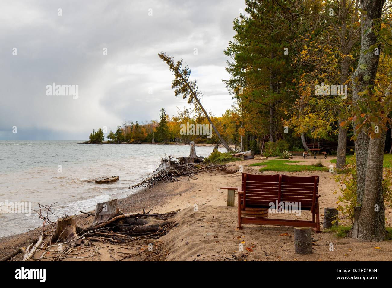 Landscape of a sandy shore covered in yellowing plants surrounded by ...