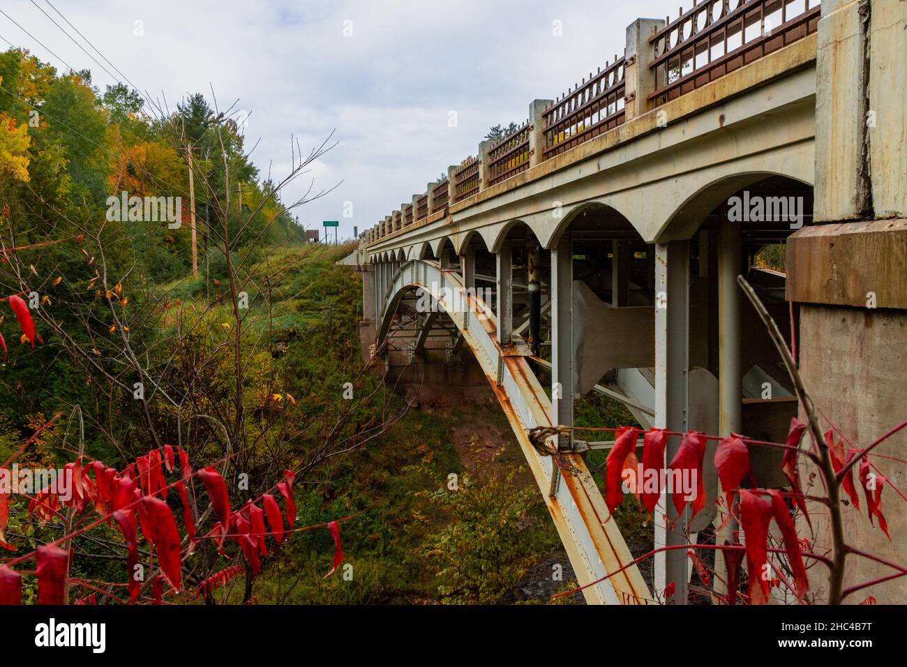 Ontonagon River Middle Branch Bridge surrounded by plants in autumn in ...