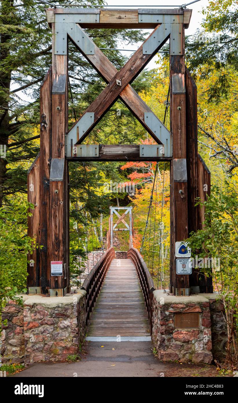 Wooden bridge in a forest covered in yellowing plants in autumn in ...