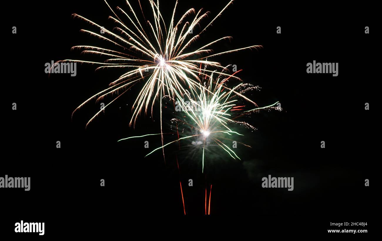 Closeup photo shot beautiful hi-res stock photography and images - Alamy