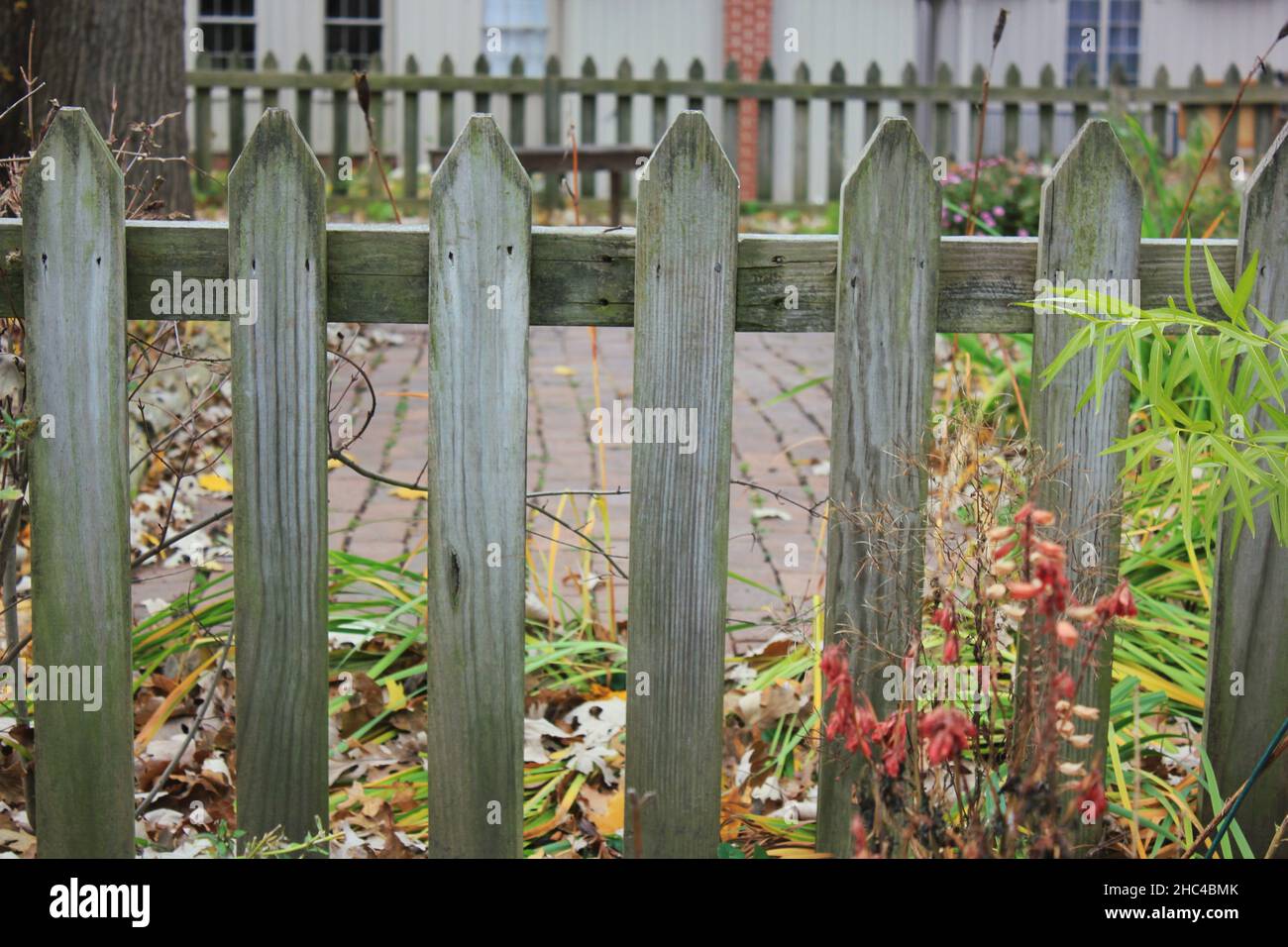 A rustic plain and simple wooden picket fence surrounding the garden in ...