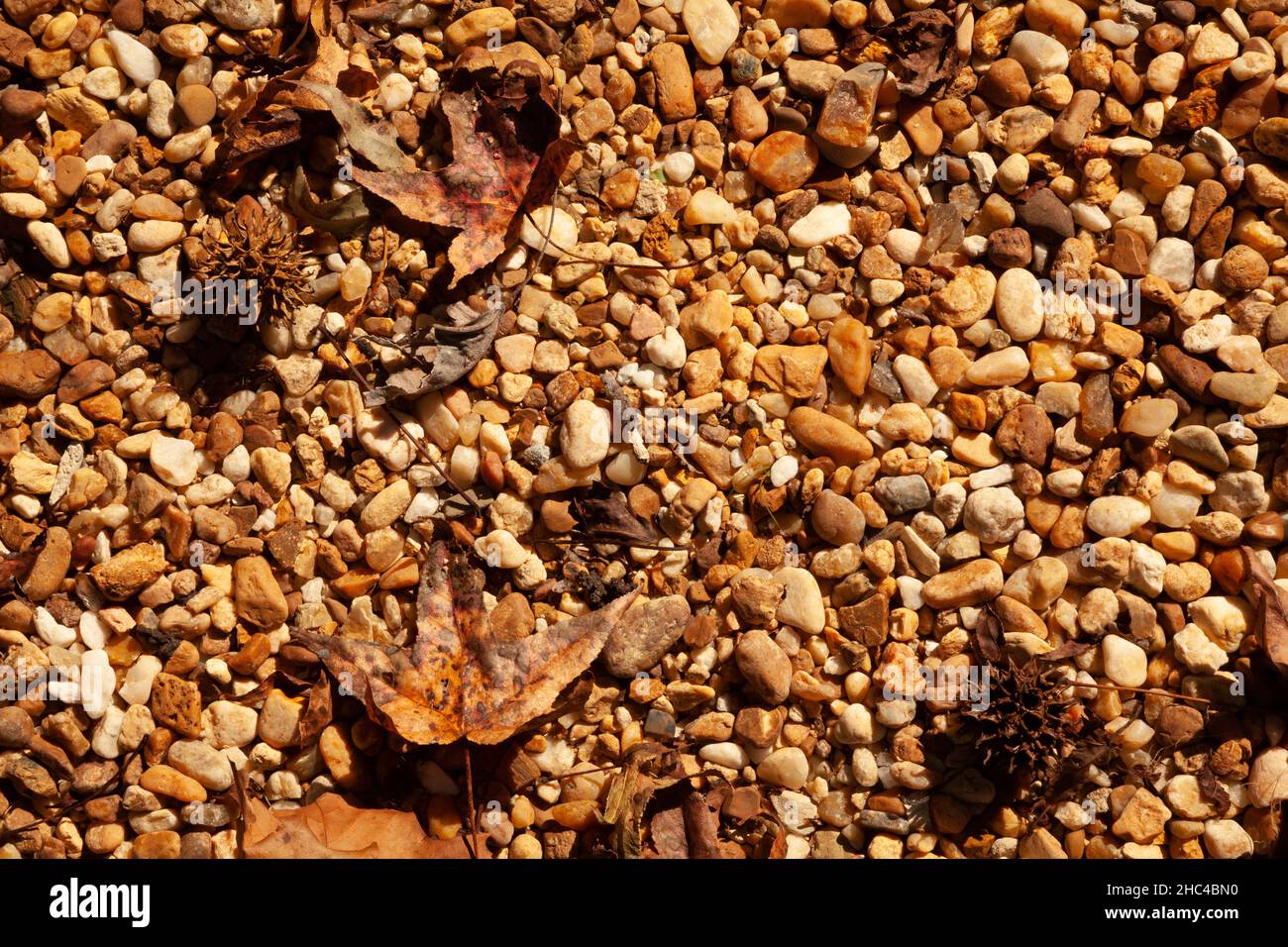Top view of small pebbles and fall leaves Stock Photo - Alamy