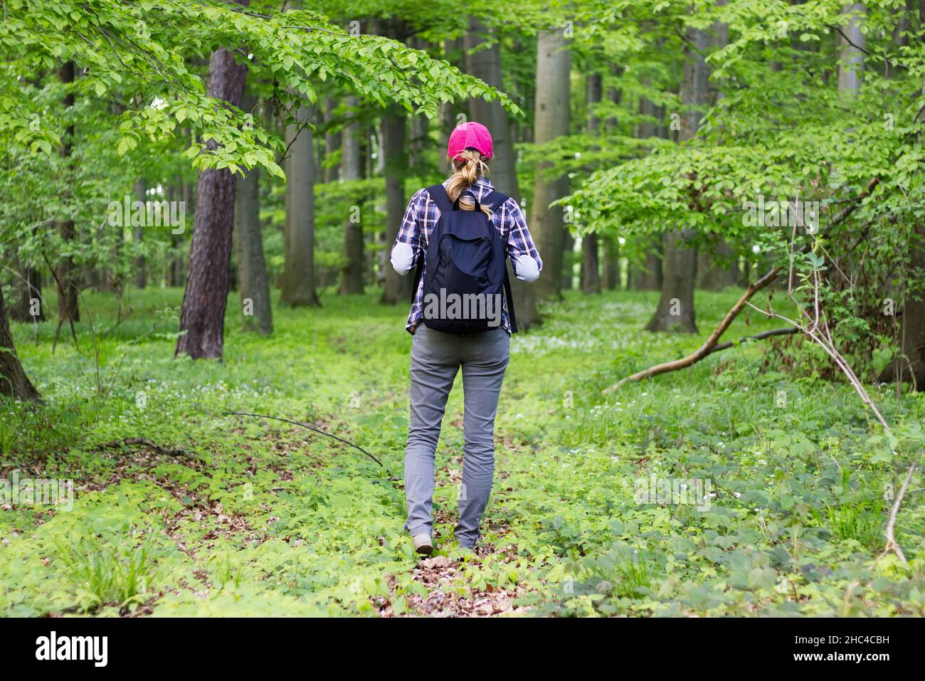 Girl tourist hiking in the forest. Young woman with a backpack on a ...