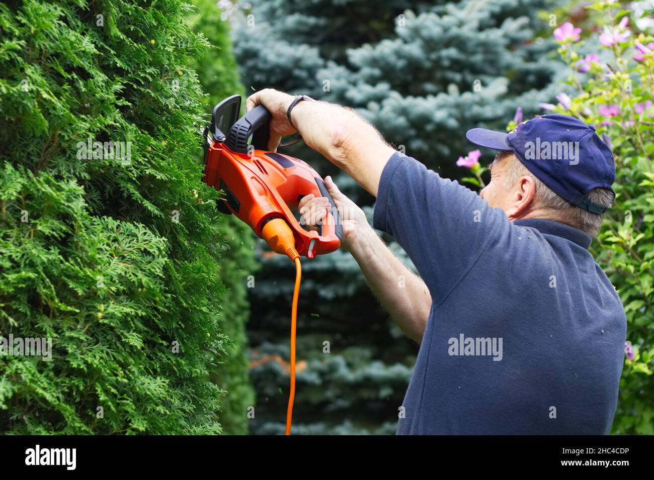 Hedge cutting machine hi-res stock photography and images - Alamy