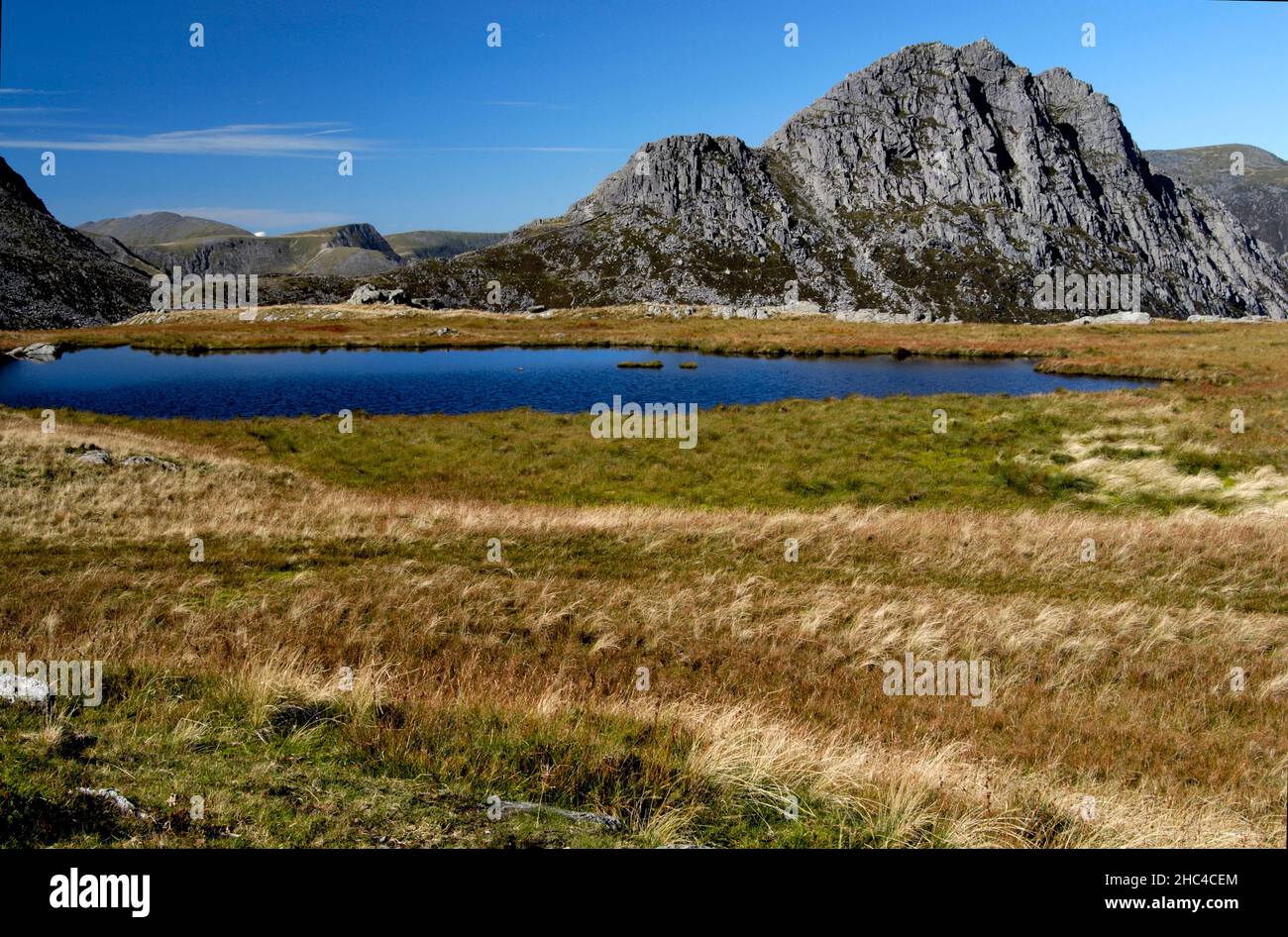 The face of wales hi-res stock photography and images - Alamy