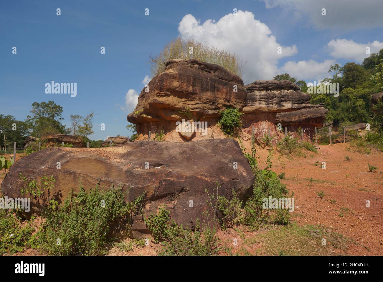 Scenic shot of weird shaped stones on a forest mountain under the ...
