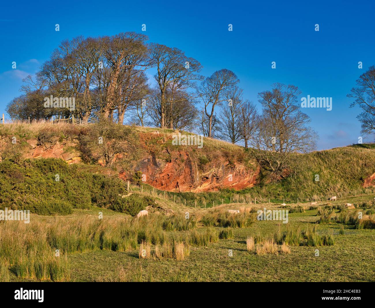 Strata of interbedded sandstone and conglomerate of the Chester ...