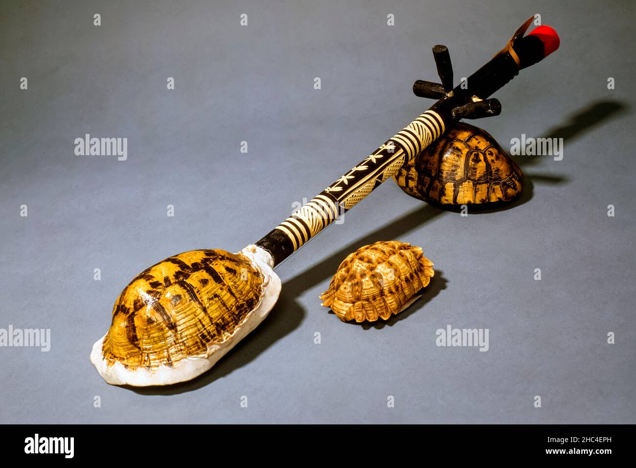 Products from endangered hi-res stock photography and images - Alamy