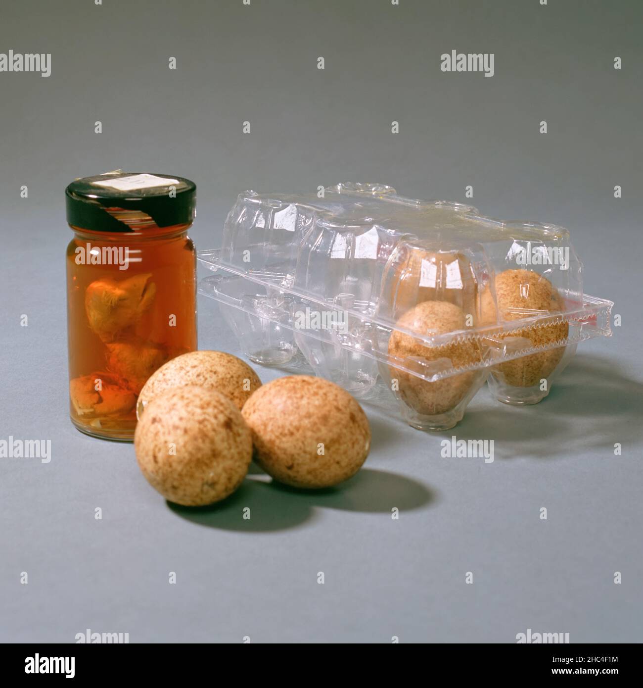 Falcon eggs and a bottled falcon bird embryo. All items were ...