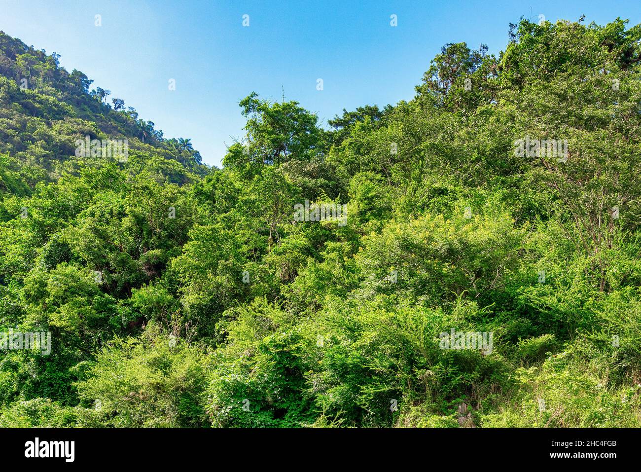 Scenics in Hanabanilla Natural Reserve Cuba Stock Photo - Alamy