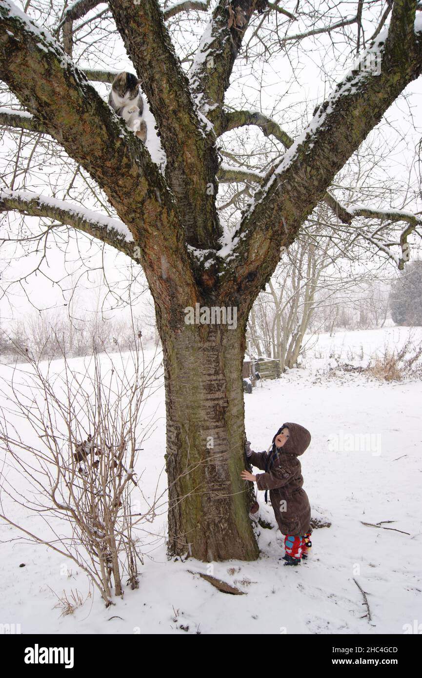 Katze Kind Baum Winter - was macht die Katze auf dem Baum Stock Photo ...
