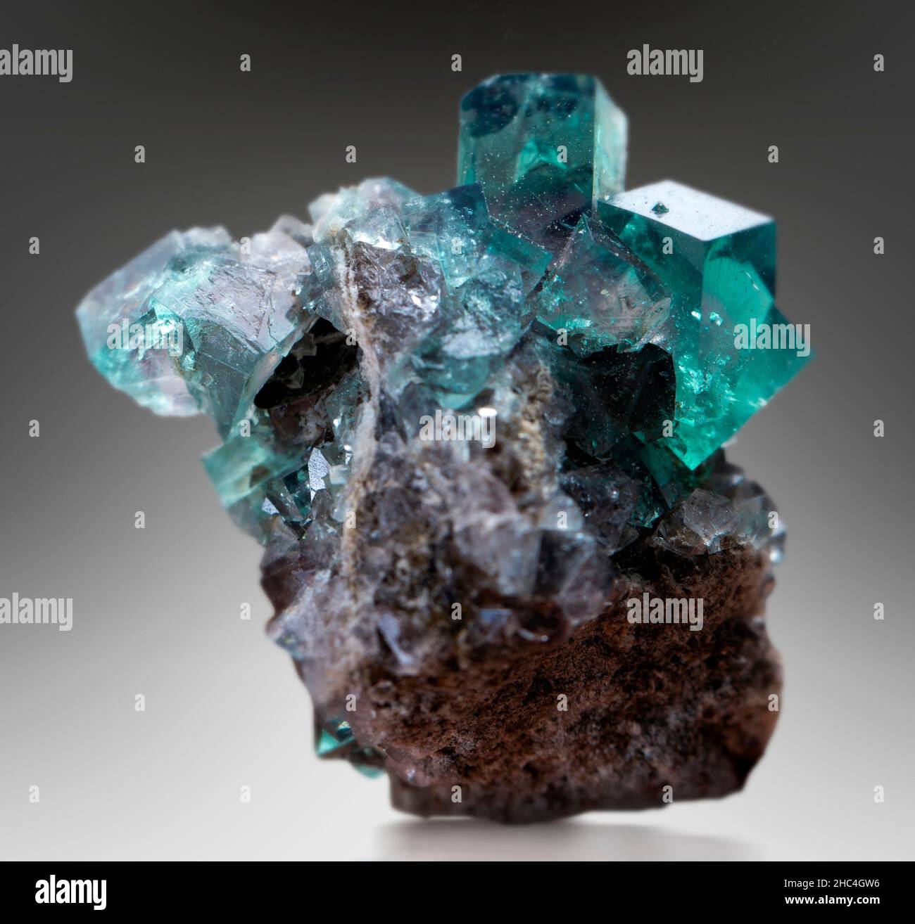 fluorite mineral specimen stone rock geology gem crystal Stock Photo ...