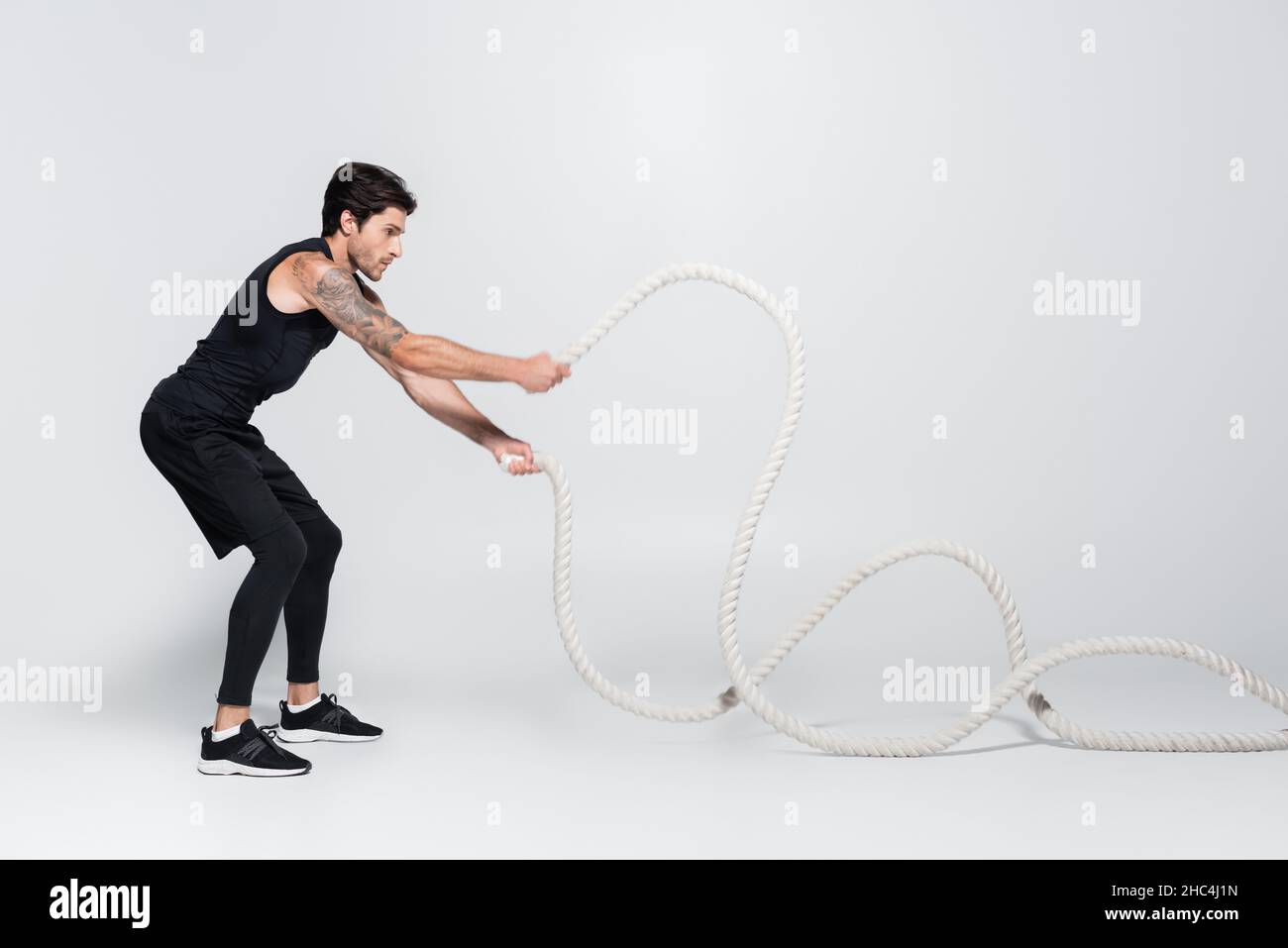 Side view of sportsman working out with battle ropes on grey background ...