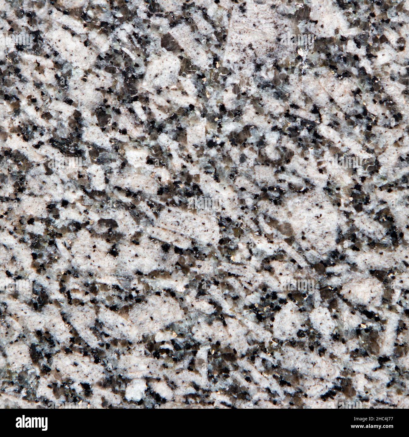 Seamless granite texture close-up. Natural black and white granite. Top ... Seamless granite texture close-up. Natural black and white granite. Top ...