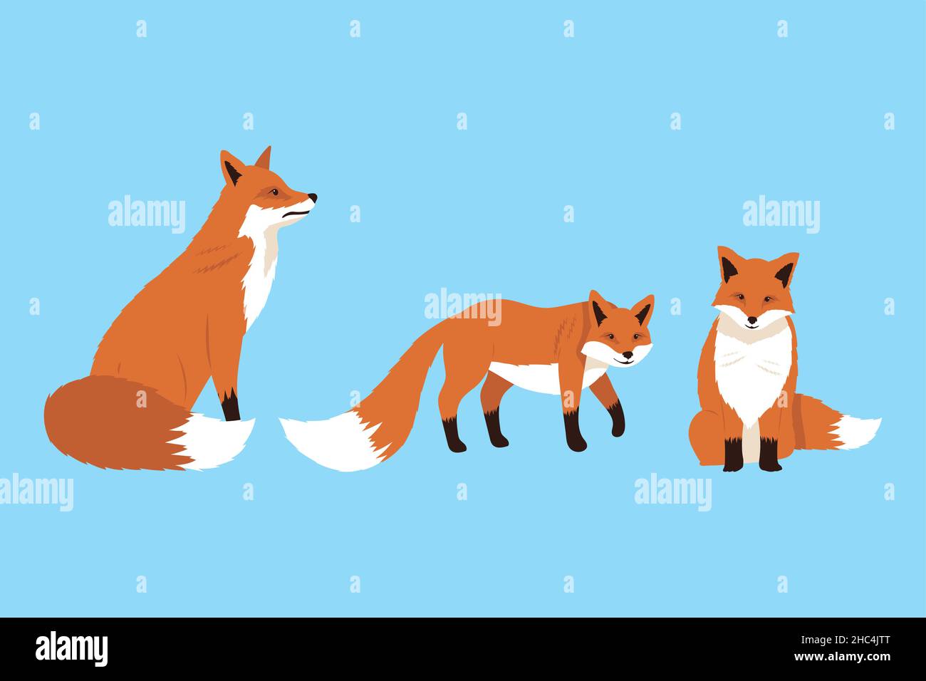 Three foxes Stock Vector Images - Alamy