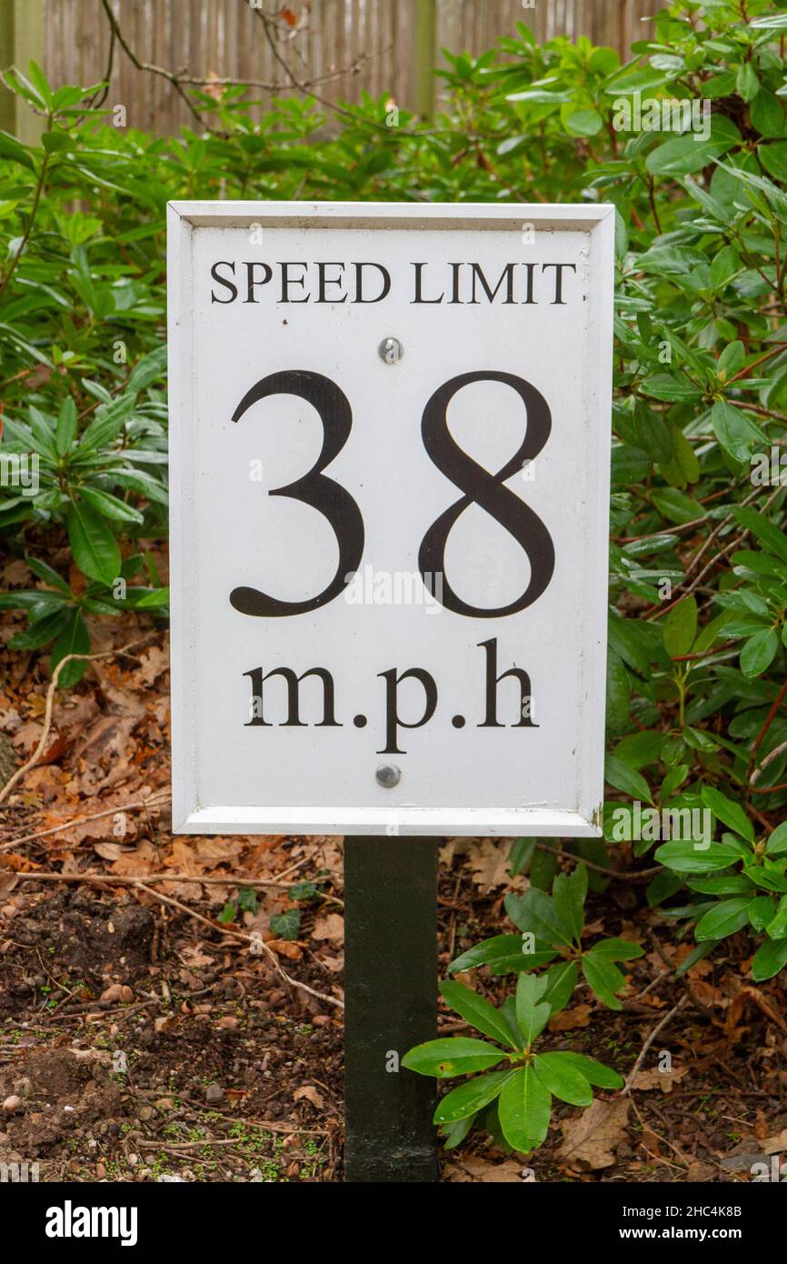 Odd Speed Limit Signs