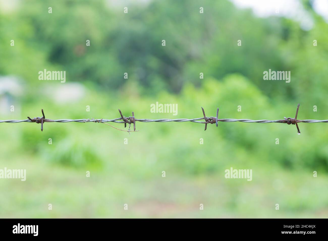 Barbed wire blocking the area. Protected areas are an intrusion into ...