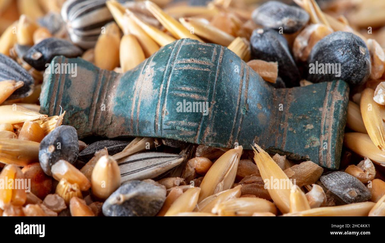 Closeup shot of Iron Age fibula, intact, bronze Stock Photo - Alamy