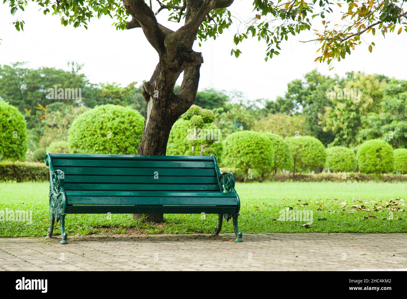 Bench under a tree. A seat to rest. Along the corridor. Within the park ...