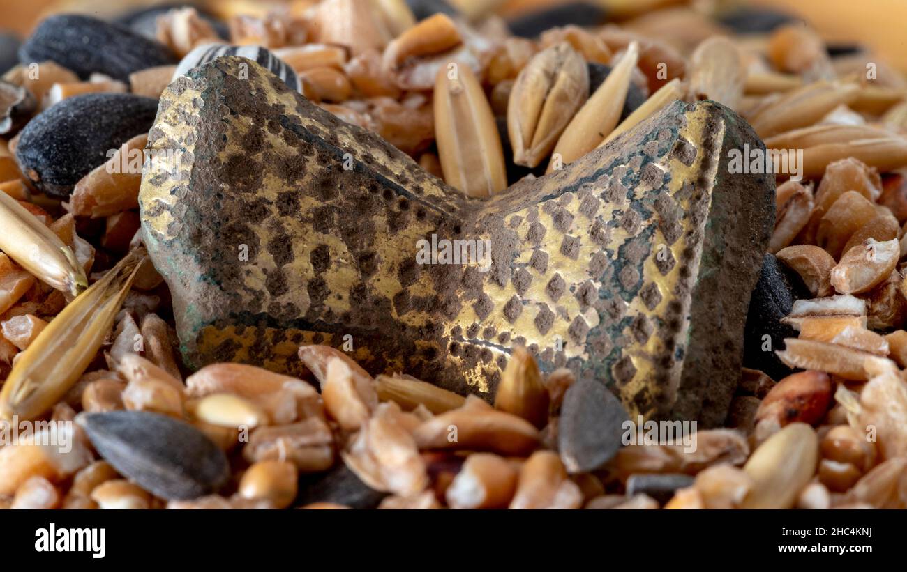 Closeup shot of Iron Age fibula, intact, bronze Stock Photo - Alamy