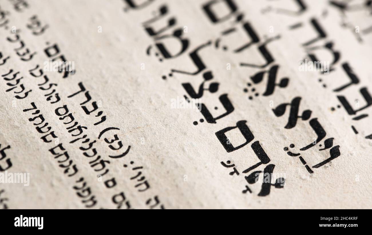 Closeup of hebrew word in Torah page that translates in english as Adam ...