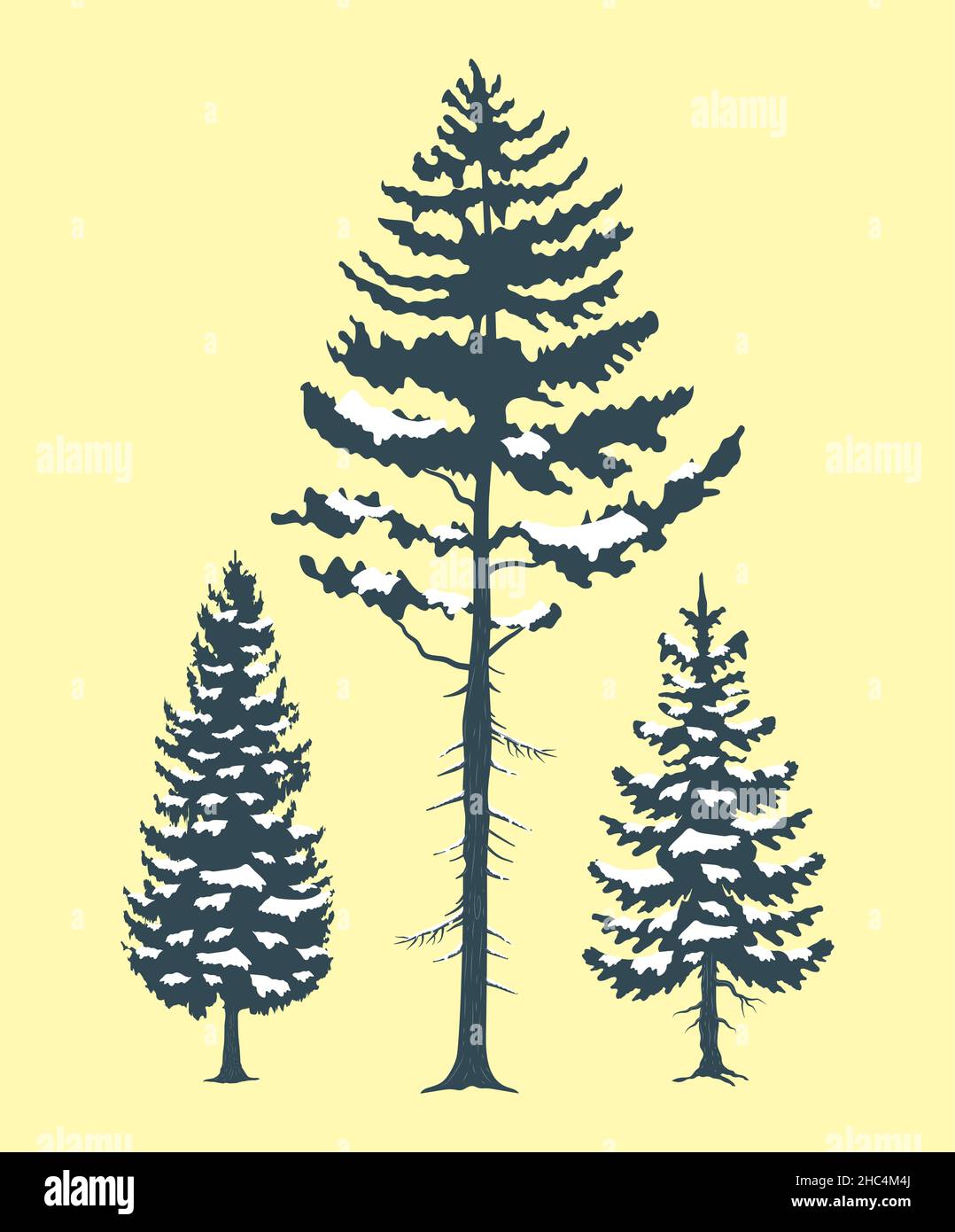 three winter pines trees icons Stock Vector Image & Art - Alamy