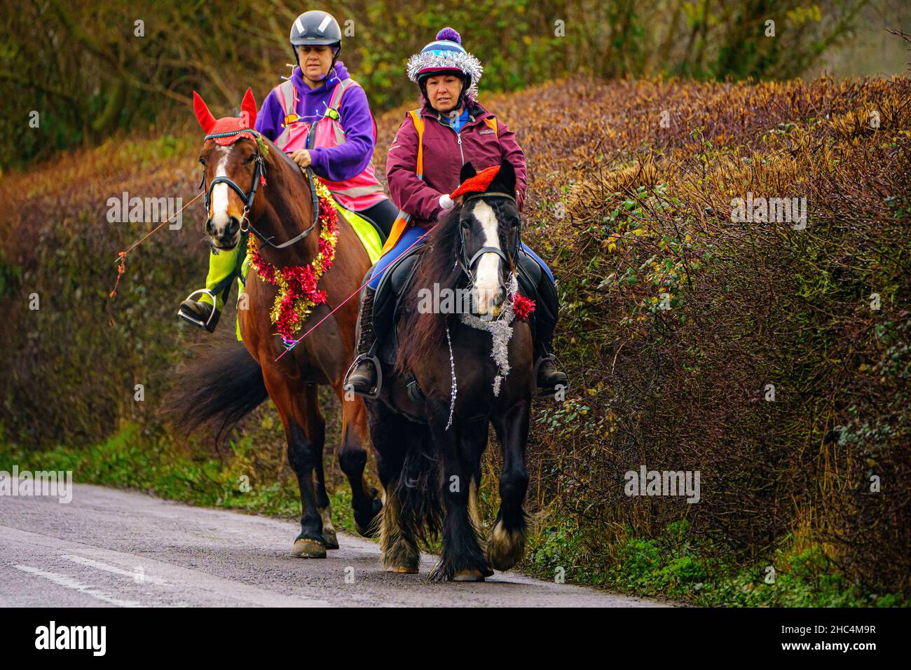 Horse riders with tinsel and Christmas hats on a country road in ...