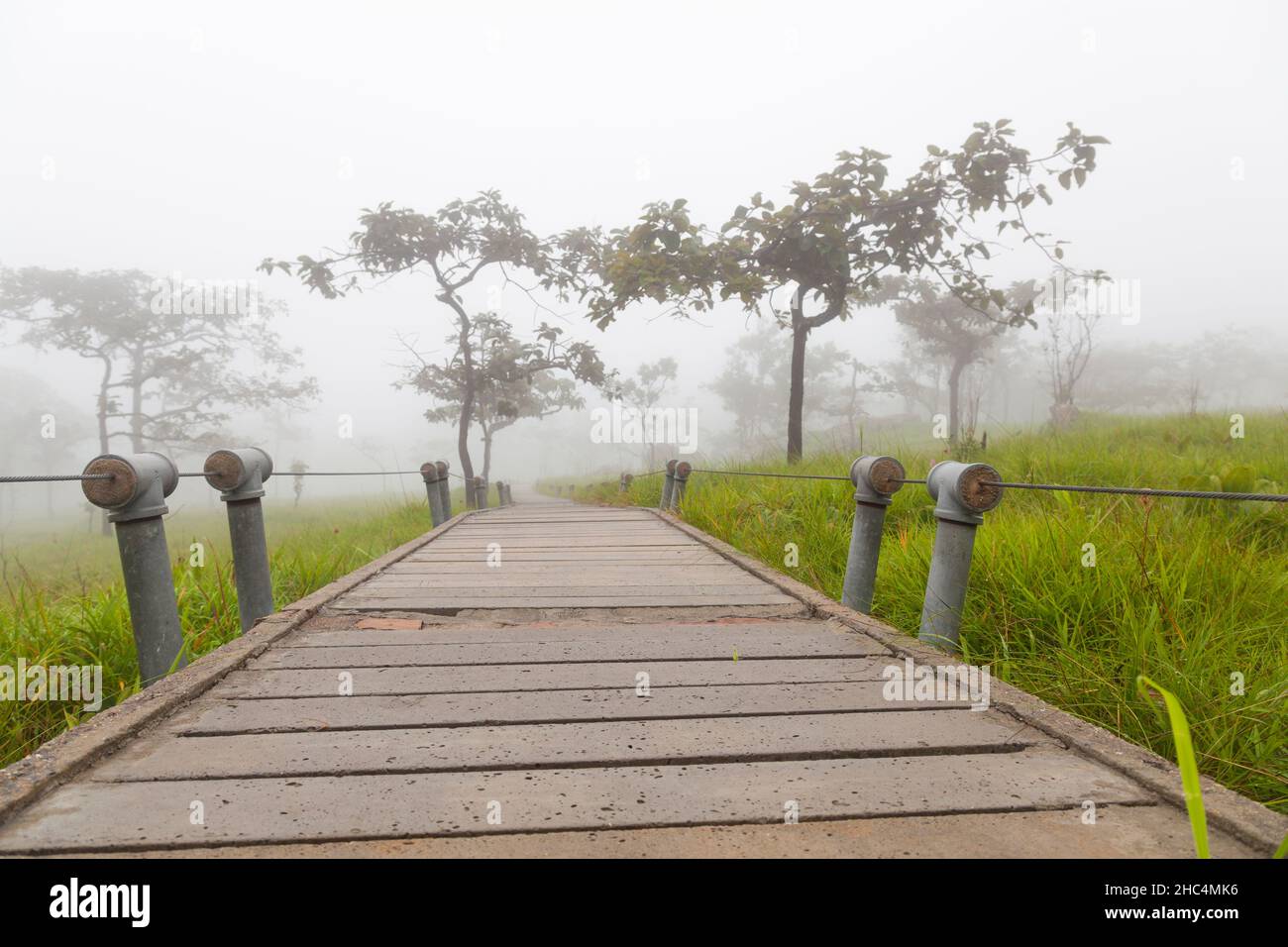Wooden bridge walkway.Sides of the trees and meadows Stock Photo - Alamy