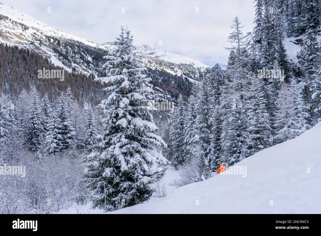 Santa Caterina valfurva italian Alps mountains in winter snow hiking ...