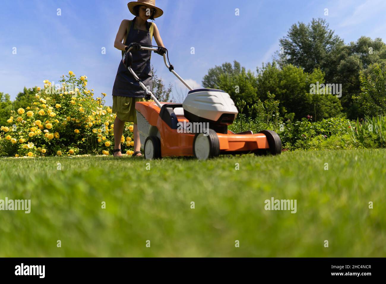 A woman gardener is trimming grass with the grass cutter, bottom view ...